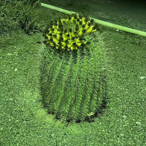 Creatable - Edgar Moreno - Kay Jewelers.